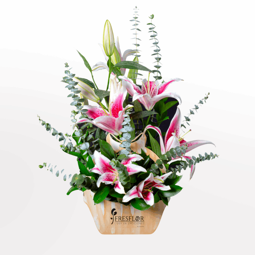 Fresflor Flores Premium en Quito | Entrega a Domicilio